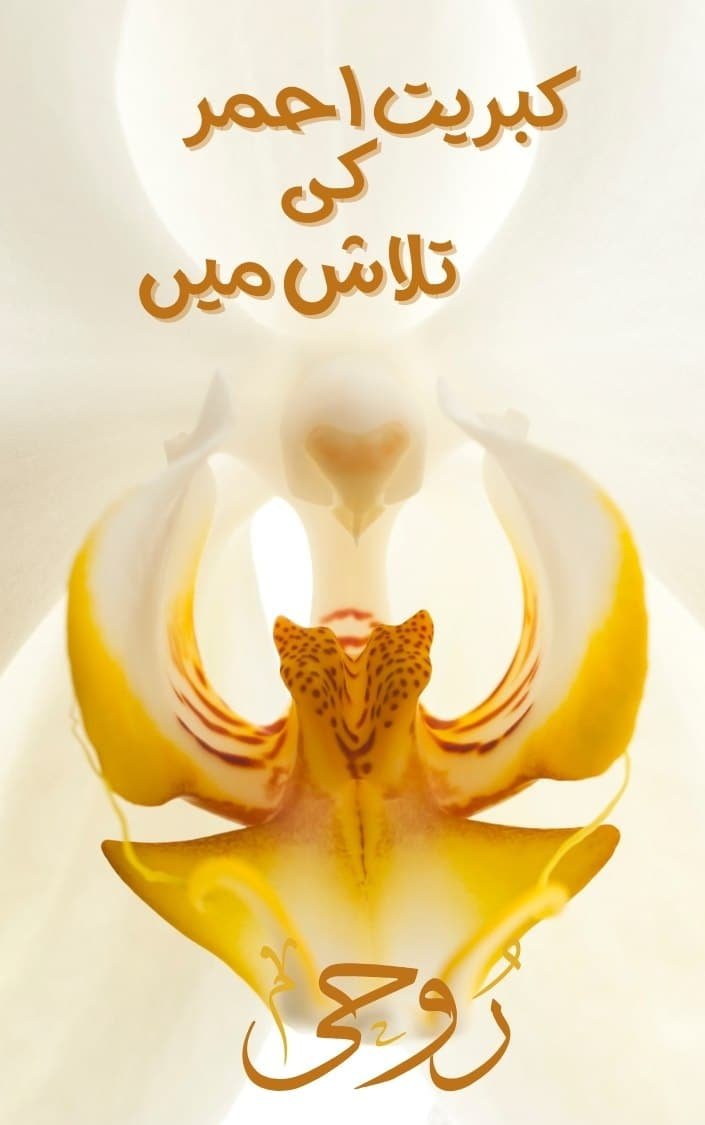 Kabrit Ahmar Ki Talash Mein: Sawanih Hayat Shaykh Akbar Ibn Al-Arabi